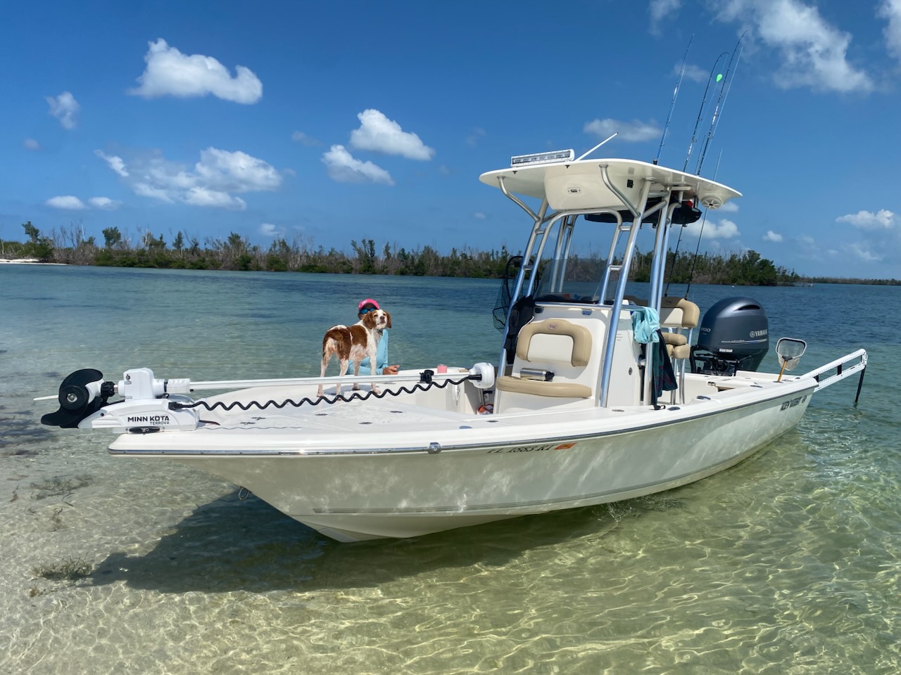 Affordable Pine Island Sound Fishing Charters! - Pine Island Sportfishing